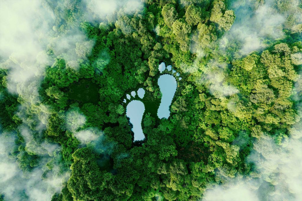 O que é EIA (Estudo de Impacto Ambiental)? Veja tudo aqui!